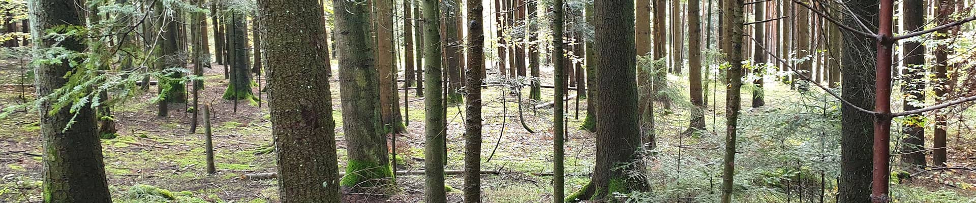 2-WildHunterGermany – Wild Hunter Germany