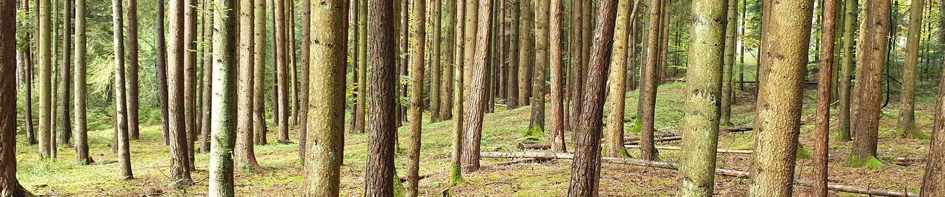 3-WildHunterGermany – Wild Hunter Germany